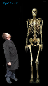 8' 2" Human Skeleton Found in Bradford County Pennsylvania