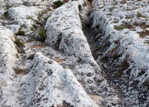 Malta Ancient Auto Tracks - Greater Ancestors